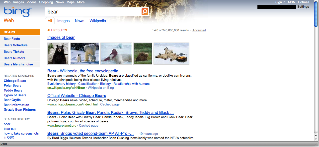 More Bing Spring Refresh Info - Back Page News - Neowin