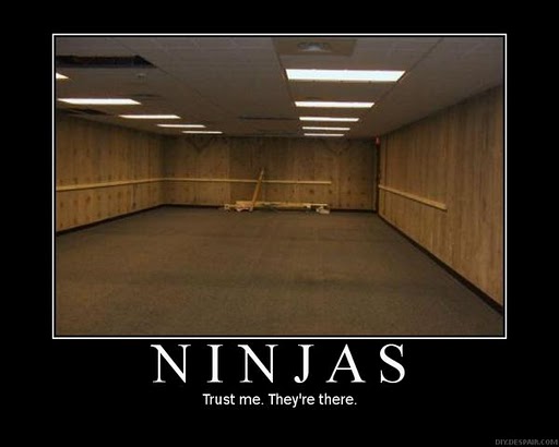 [Pic] Ninja demotivational posters - Jokes & Funny Stuff - Neowin