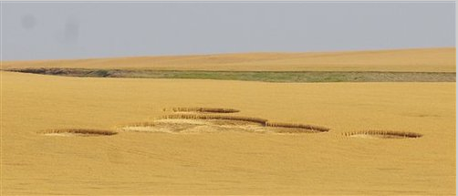 Mysterious crop circles appear in Washington wheat field - It's a Conspiracy! - Neowin