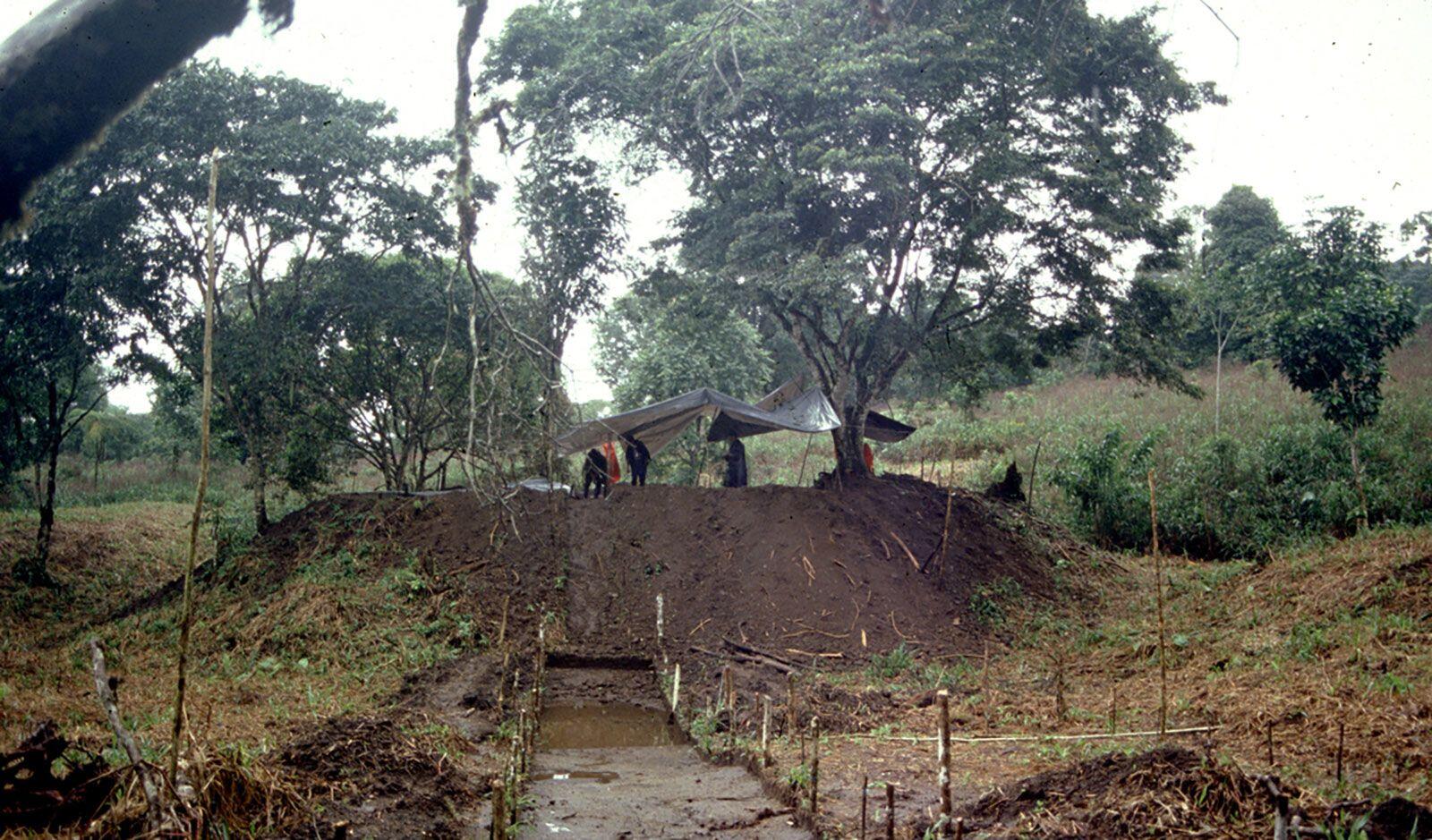 Archaeologists Discover Lost City in Amazon Rainforest - Science News ...