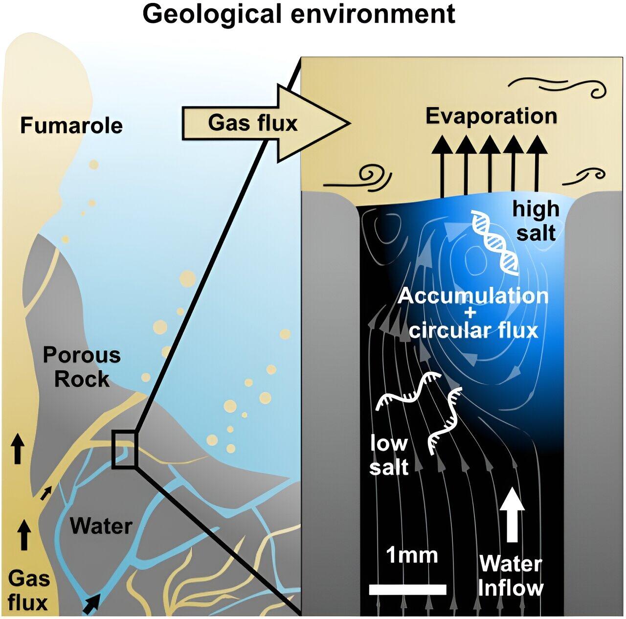 Scientists find plausible geological setting that may have sparked life ...