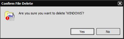 are you sure you want to delete 'windows' - Microsoft (Windows) - Neowin