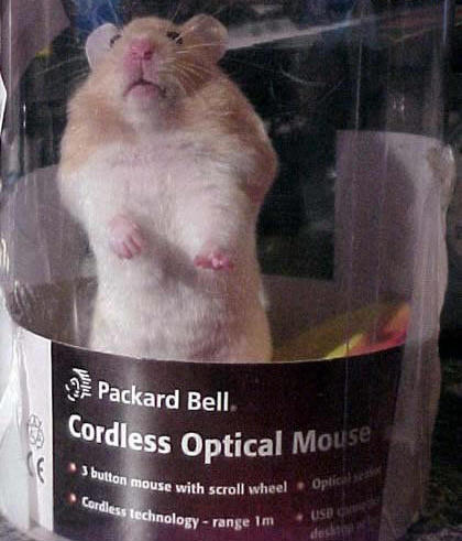 Packard Bell Optical Mouse - Jokes & Funny Stuff - Neowin