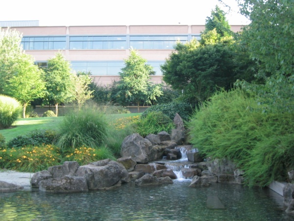 Touring the Microsoft Xbox facilities - Xbox - Neowin