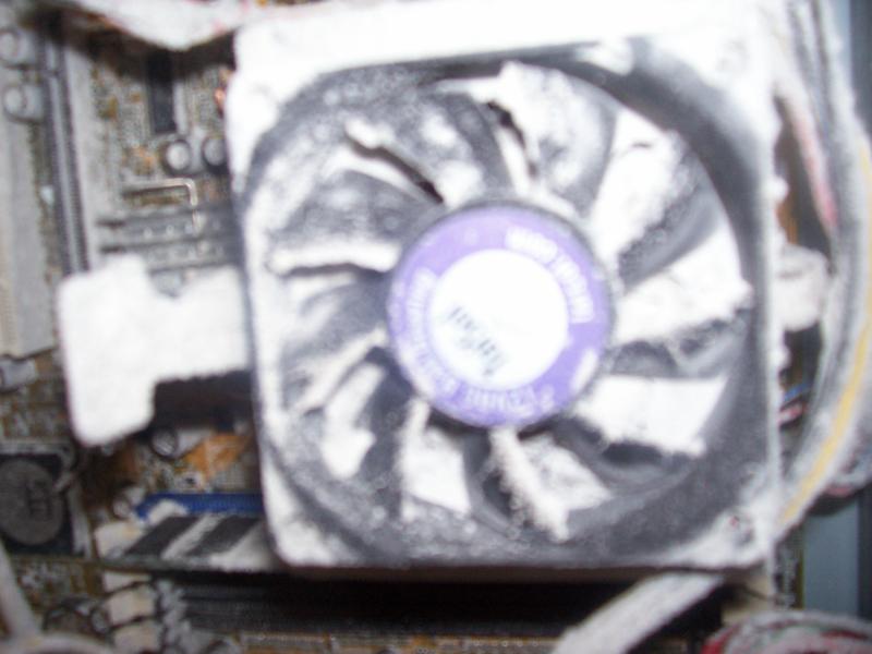 Dirtiest PC Insides Ever? - Hardware Hangout - Neowin