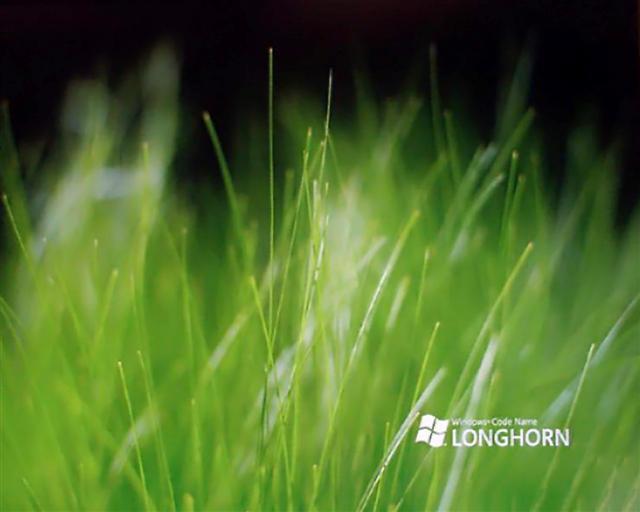 longhorn 5048 wallpaper - Tips, Tweaks & Customization - Neowin