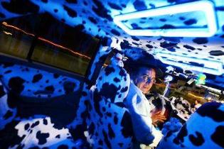 Crime-fighting: A cow you can steer - Real World News - Neowin