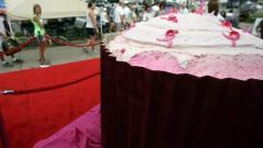 1,224-Pound Cupcake Sets Record as World's Largest - Real World News ...