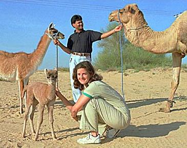 Zonkey or a Deebra?! - Real World News - Neowin