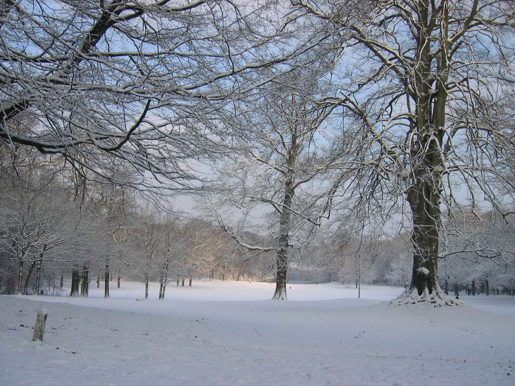 Wallpaper request - Tips, Tweaks & Customization - Neowin