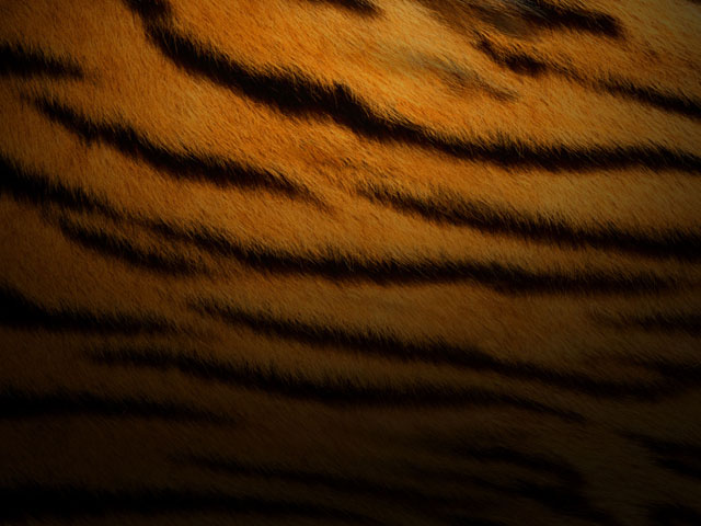 [REQ] Tiger Skin Wallpaper - Tips, Tweaks & Customization - Neowin