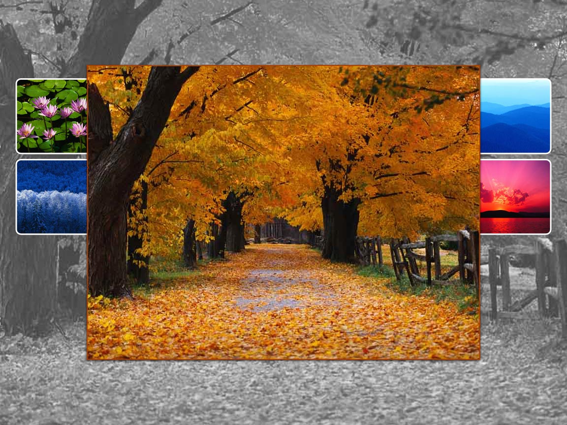 Basic Wallpaper - Tips, Tweaks & Customization - Neowin