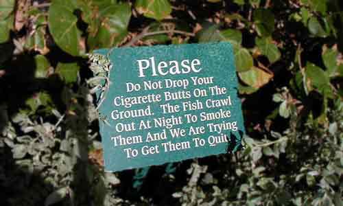 Smoking Fish - Jokes & Funny Stuff - Neowin