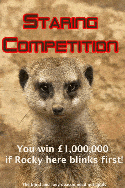 Blinking competition - Win - Jokes & Funny Stuff - Neowin