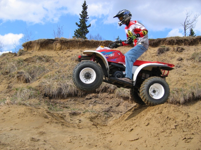 Quading - Poll Station - Neowin