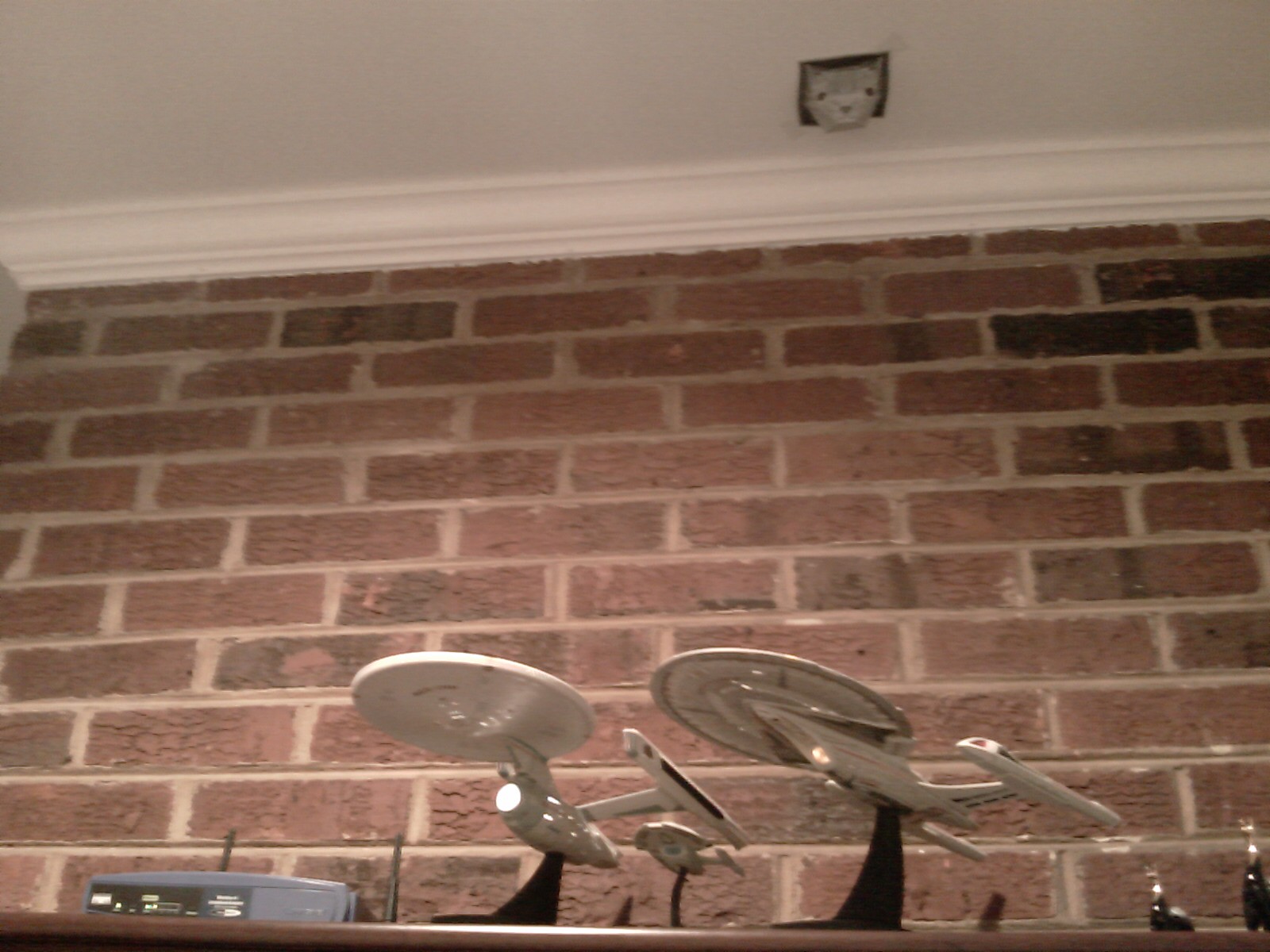 [CUTOUT PIC] Ceiling Cat - Jokes & Funny Stuff - Neowin