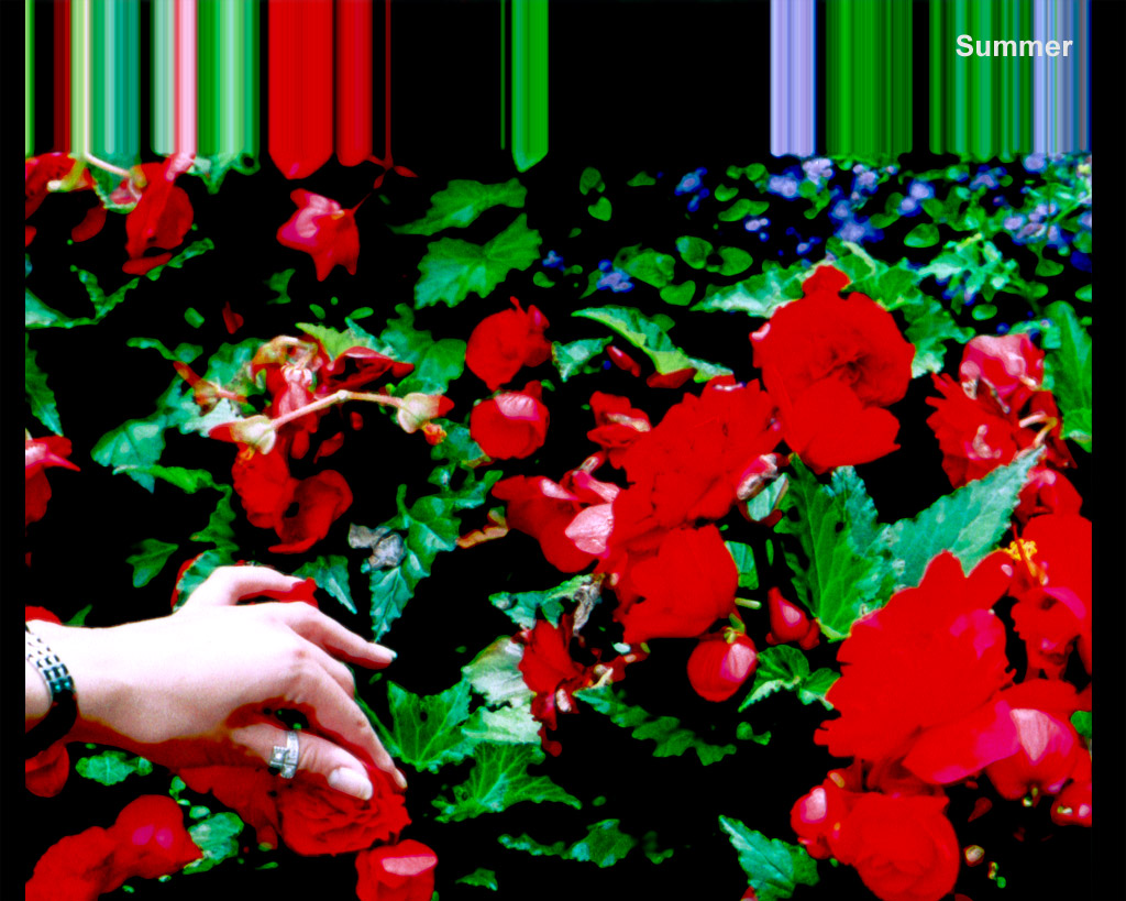 [Wallpaper] - Summer - Tips, Tweaks & Customization - Neowin