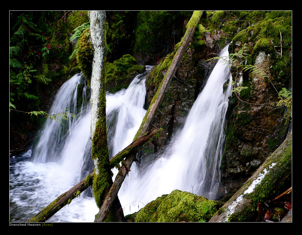 Heaven - Tips, Tweaks & Customization - Neowin