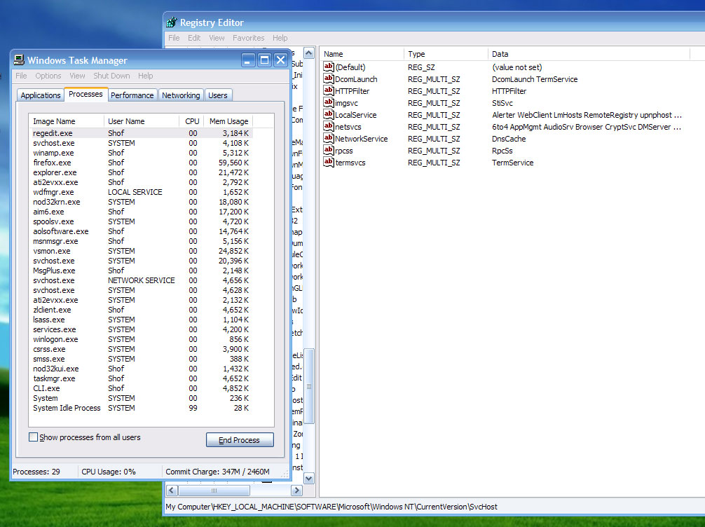 svchost.exe - Microsoft (Windows) - Neowin