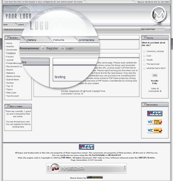 Skin Conversion - Web Design & Development - Neowin