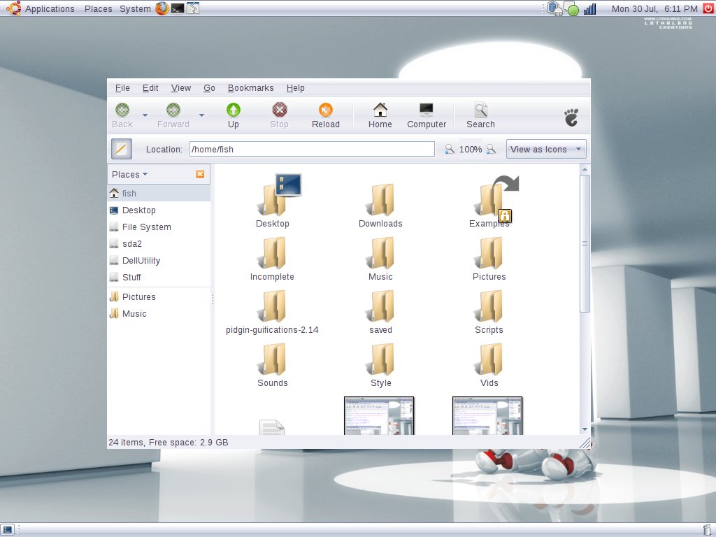 Compiz broke my Metacity - Linux - Neowin