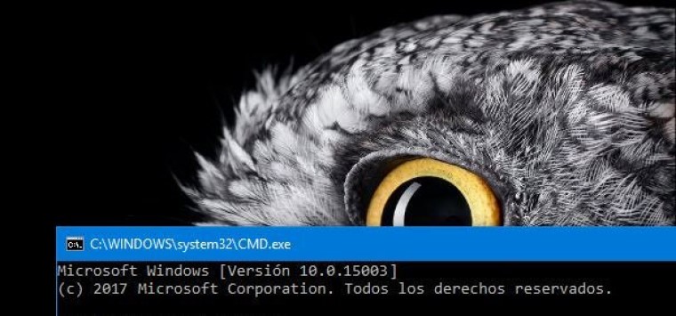 Windows 10 build 10.0.15003 spotted in the wild [Update: it's not real ...