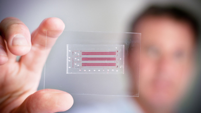 New "lab on a chip" costs only one cent to make and aims at ...