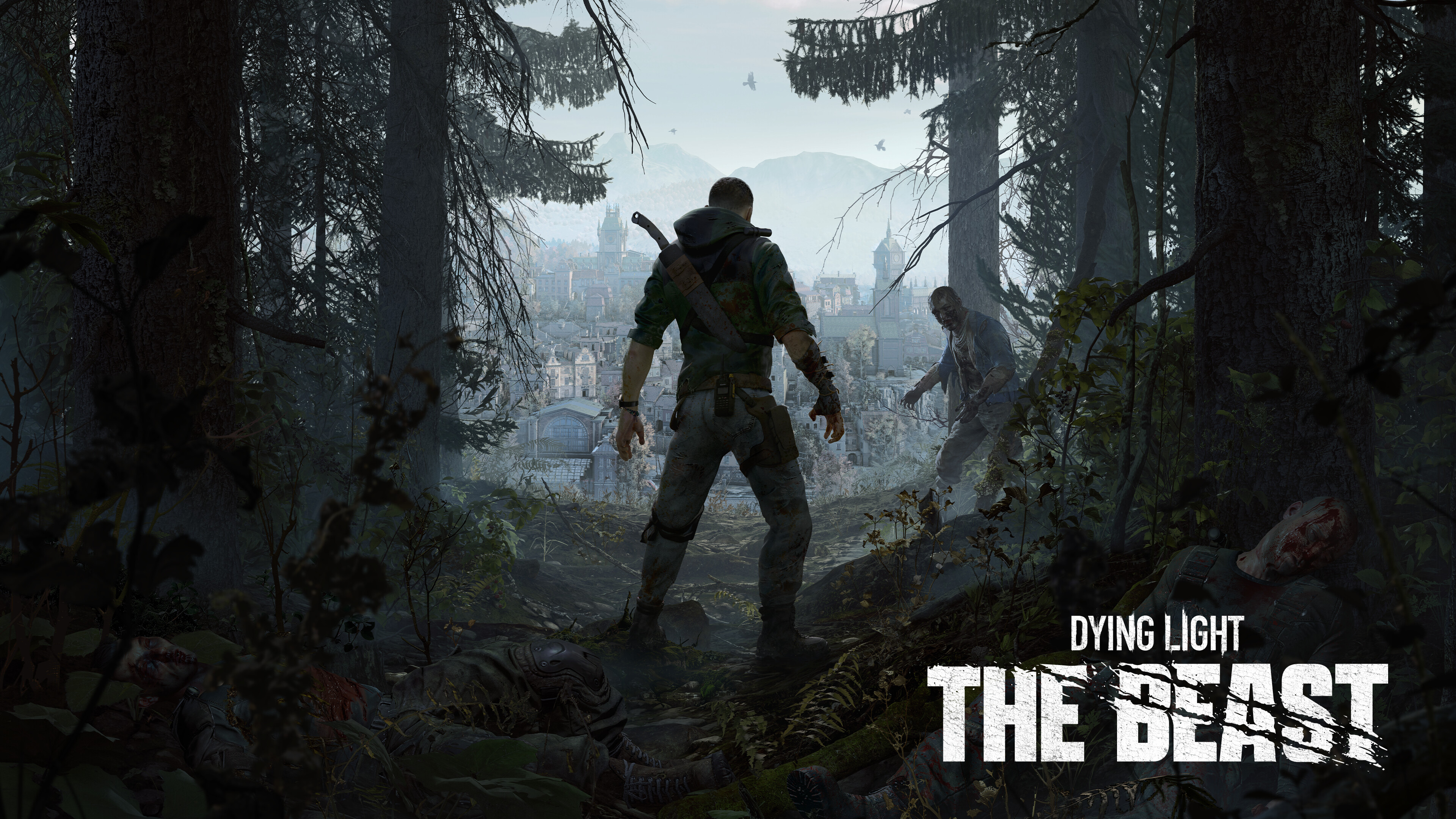 AMD 25.9.2 driver out with support for Dying Light: The Beast and RX ...