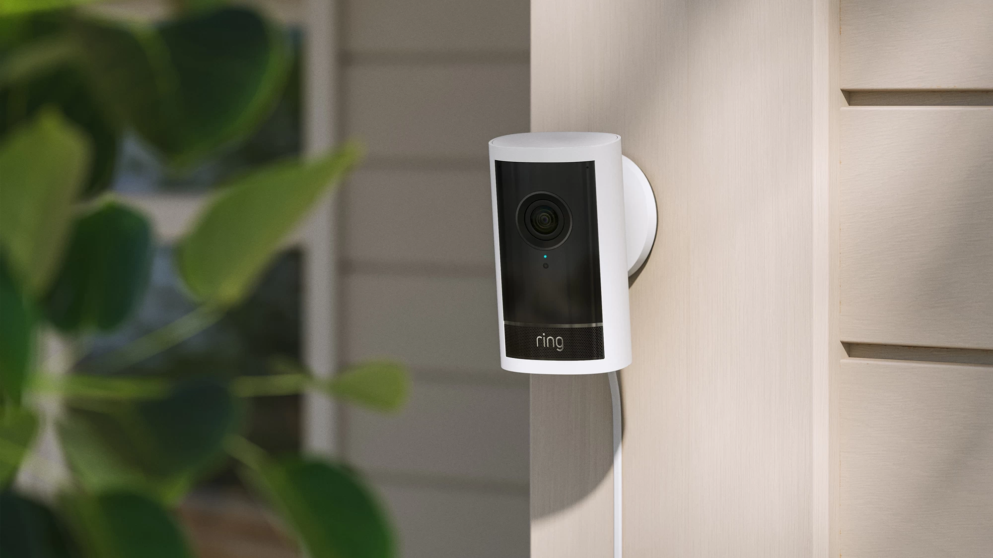 Ring unveils first 4K cameras and AI features to help reunite lost pets ...
