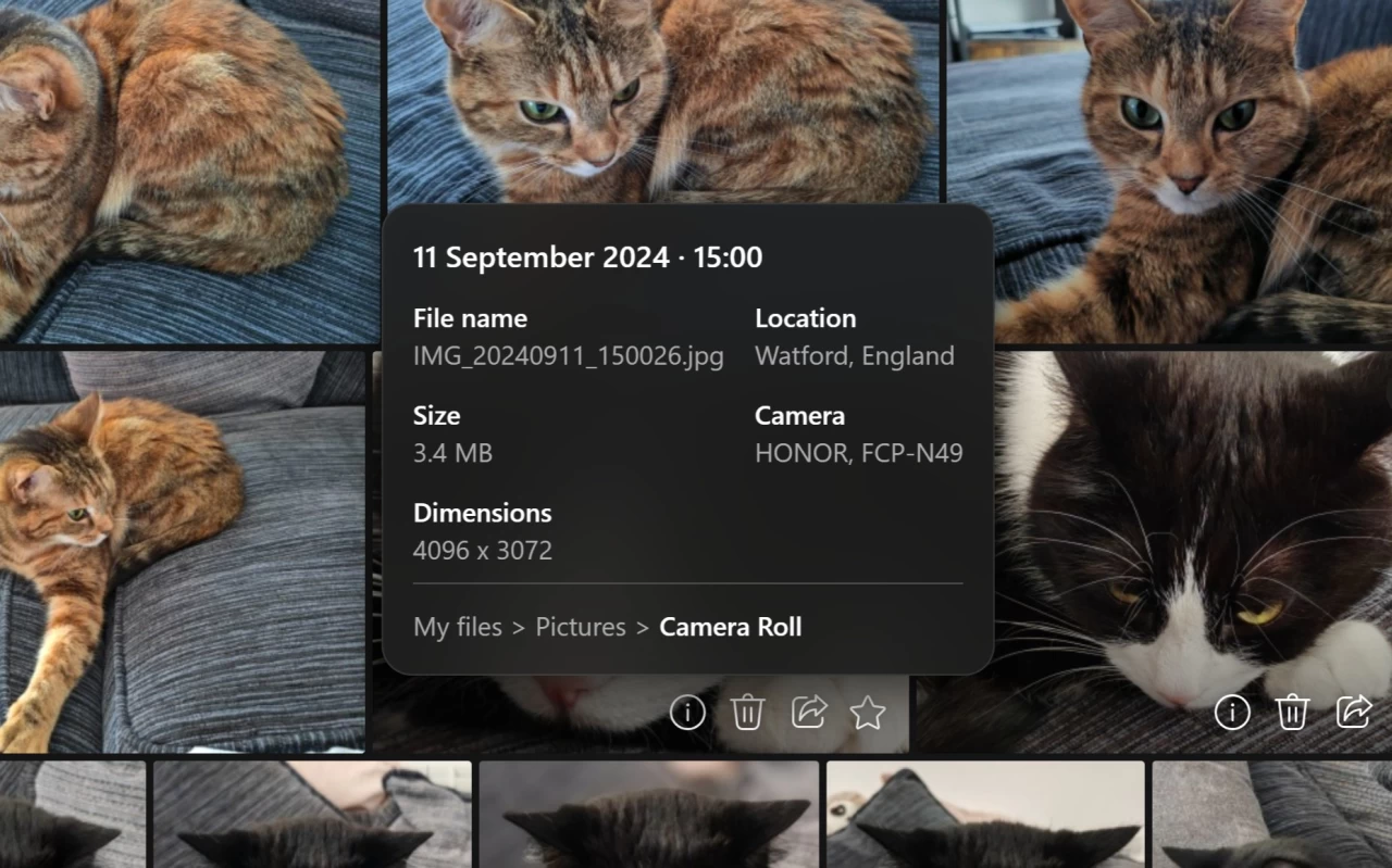Microsoft's gorgeous new Windows 11 OneDrive app leaks from official ...